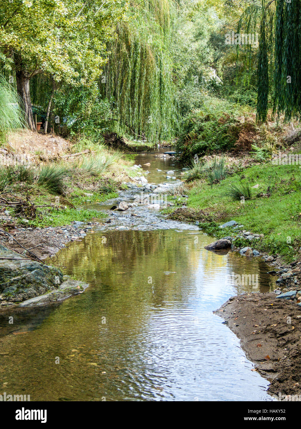 A small river runs through between nature Stock Photo - Alamy