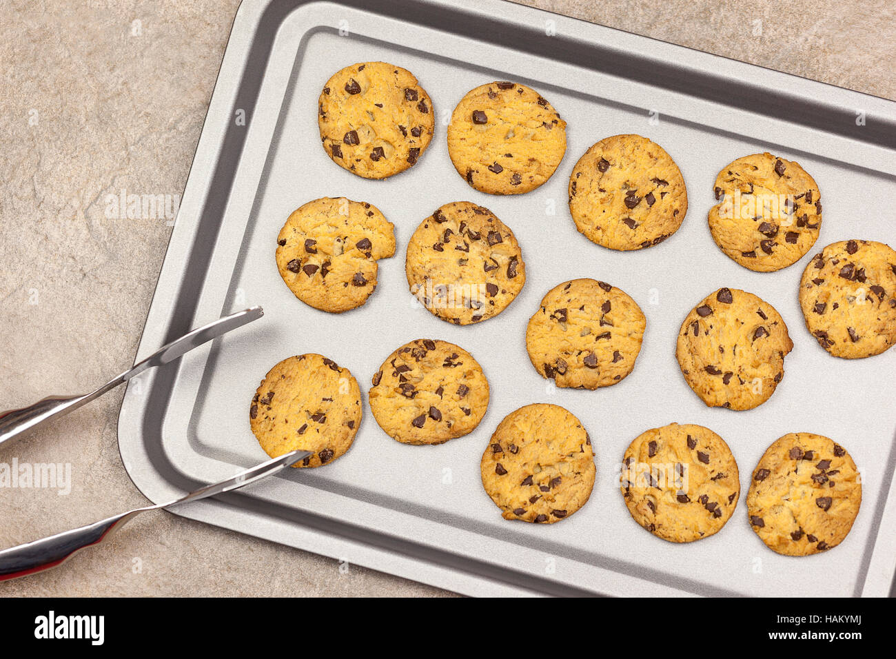 Fresh golden brown chocolate chip cookies layed out on a baking tray ...