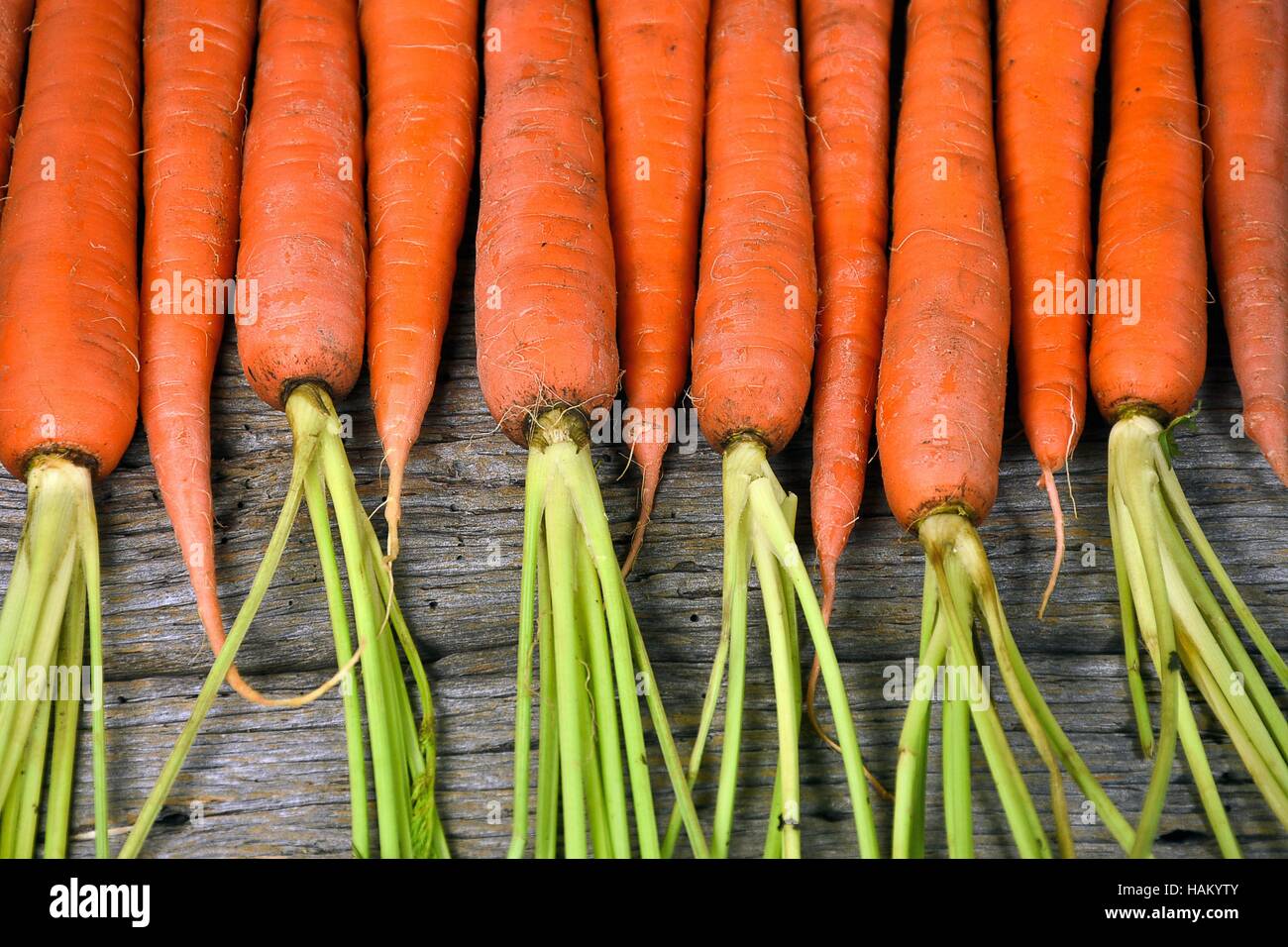 row of raw carrots on rustic wood Stock Photo - Alamy