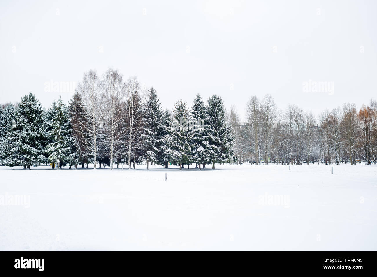 Winter snowy landscape Stock Photo - Alamy