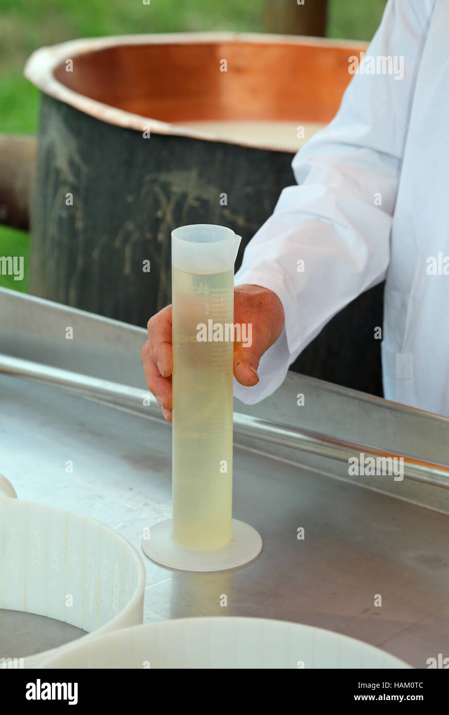 cheesemaker takes with the hand test tube with the curd for the ...