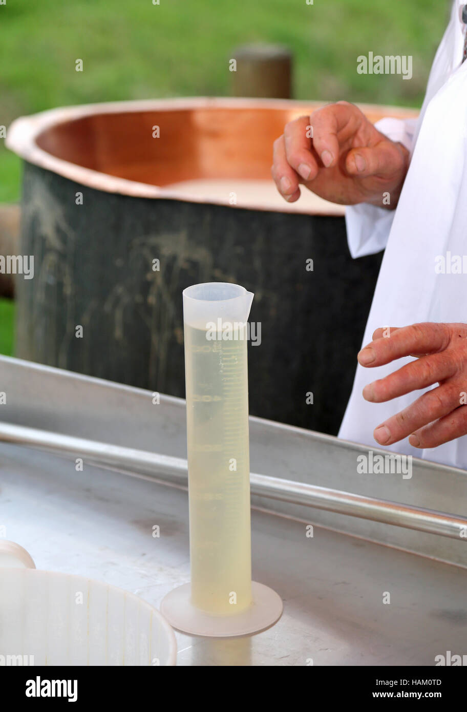 cheesemaker takes with the hand test tube with the rennet for the ...