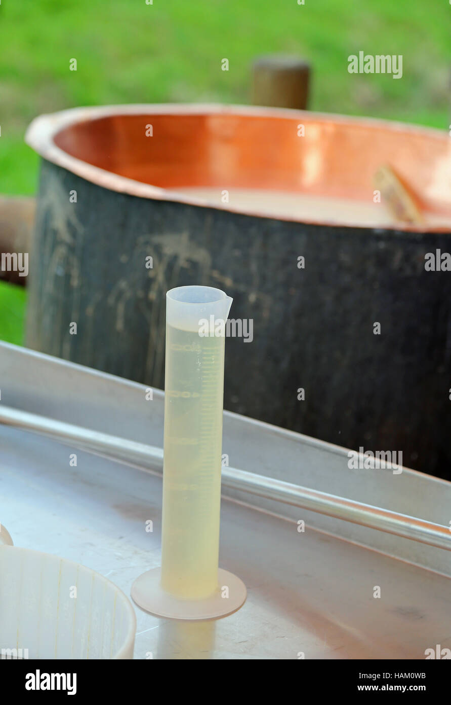plastic tube filled with rennet for the production of cheese in the ...