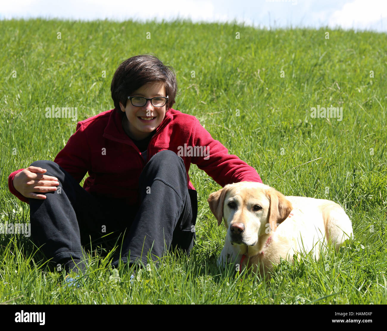 smiling guy on the meadow with his yellow Labrador Retriever dog Stock ...