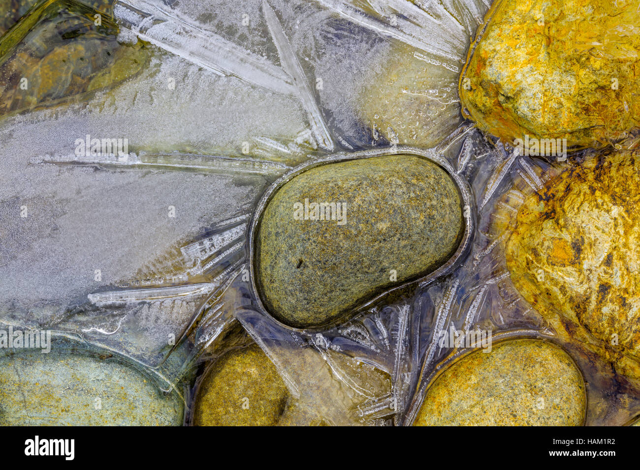 Ice crystals in pond Stock Photo - Alamy