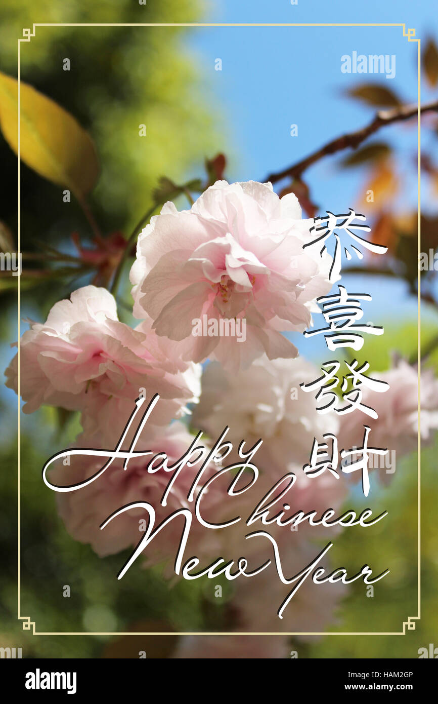 Chinese new year tree hi-res stock photography and images - Alamy