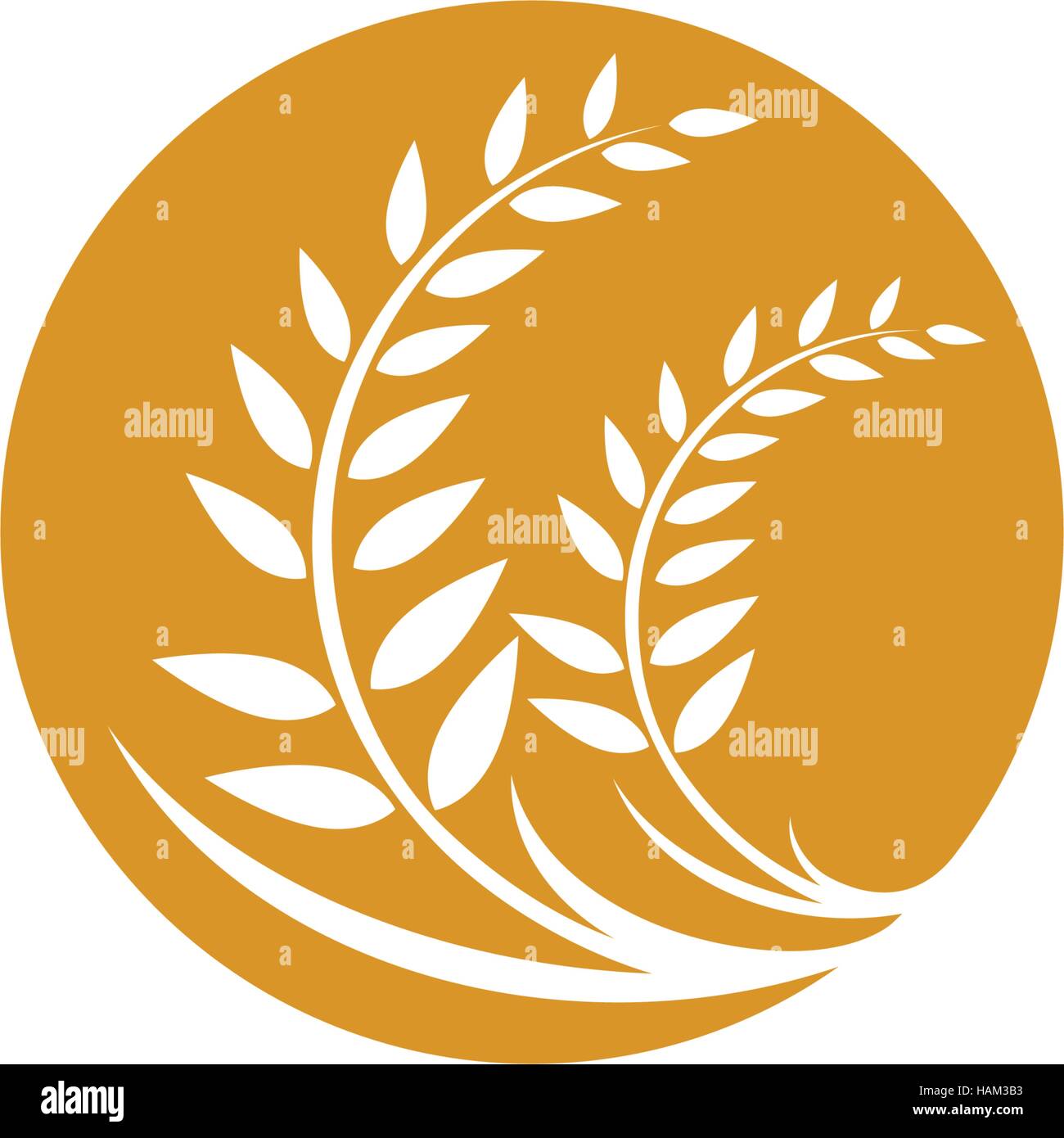 wheat Logo Template Stock Vector Image & Art - Alamy
