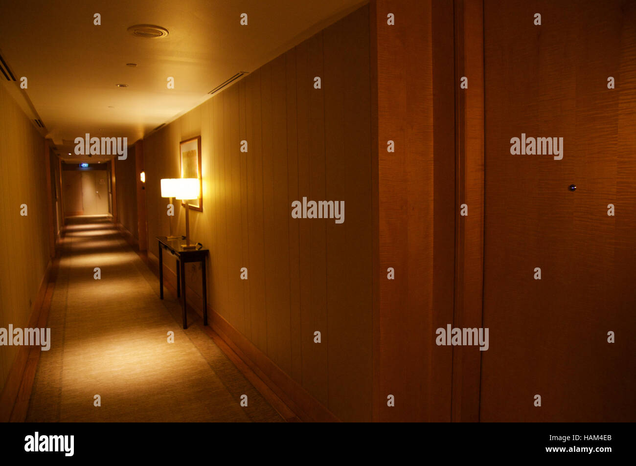 Hotel hallway corridor carpet hi-res stock photography and images - Alamy