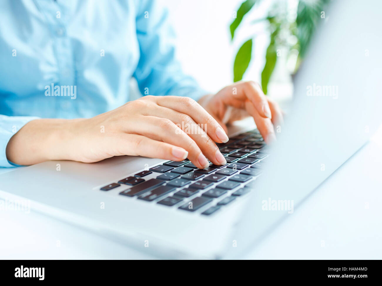 Female hands or woman office worker typing on the keyboard Stock Photo ...