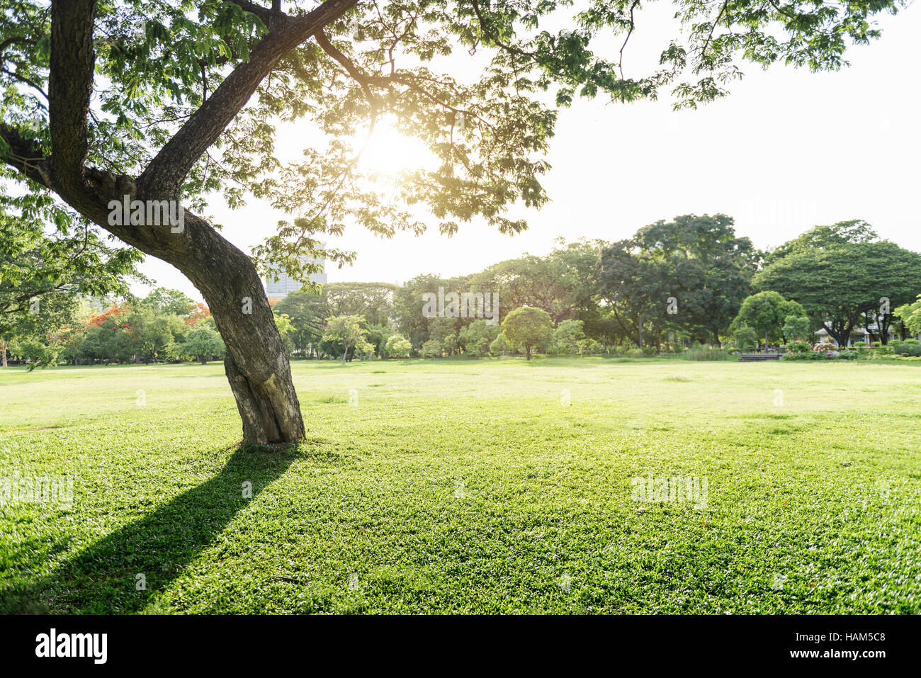 Season nature people concept hi-res stock photography and images - Alamy