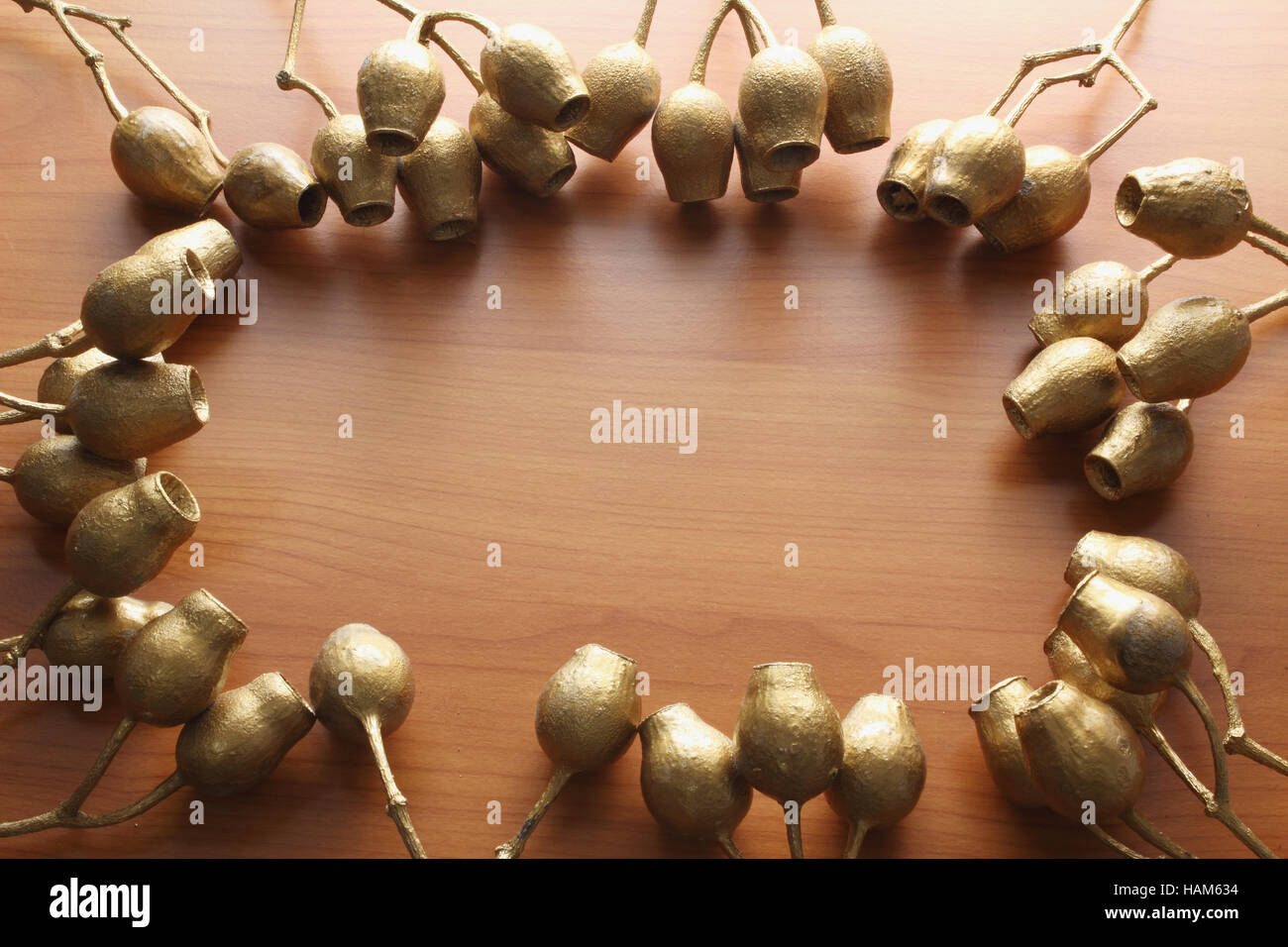 Australian native nuts hi-res stock photography and images - Alamy