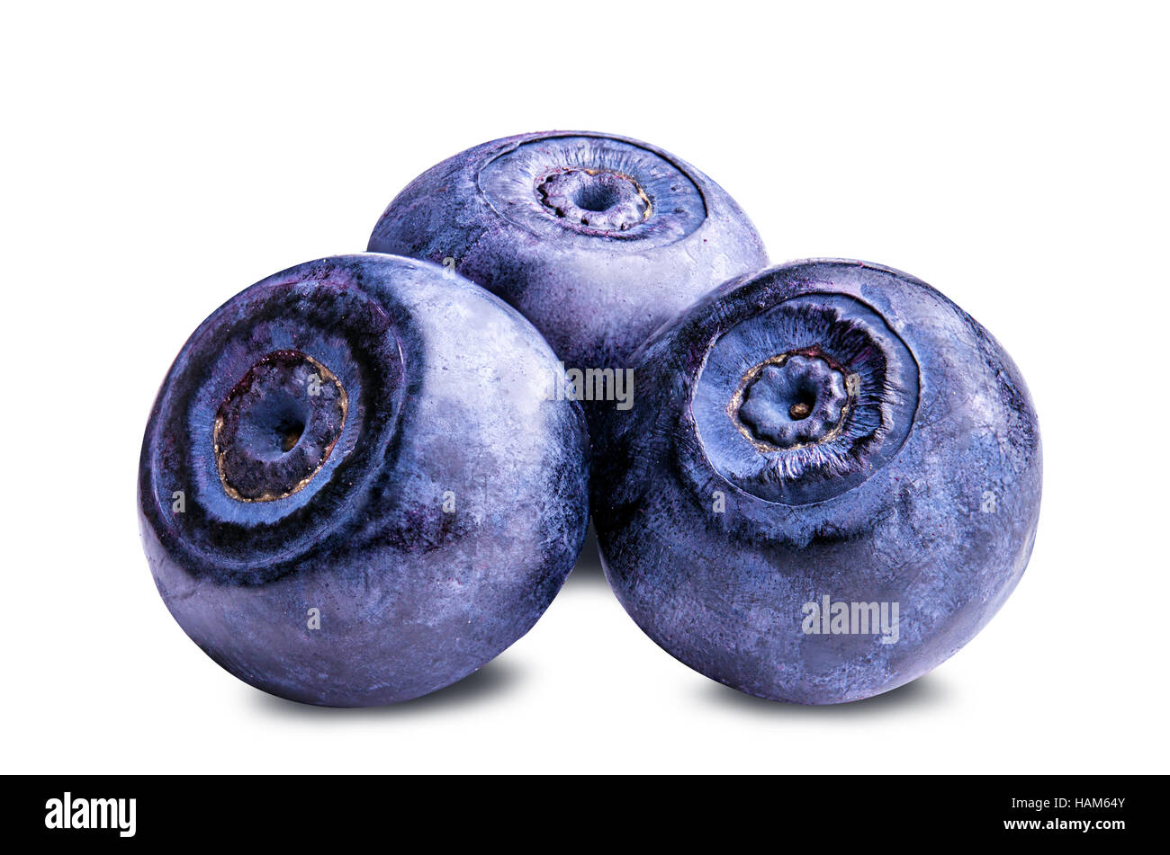 bilberry blueberries isolated on white background Stock Photo - Alamy