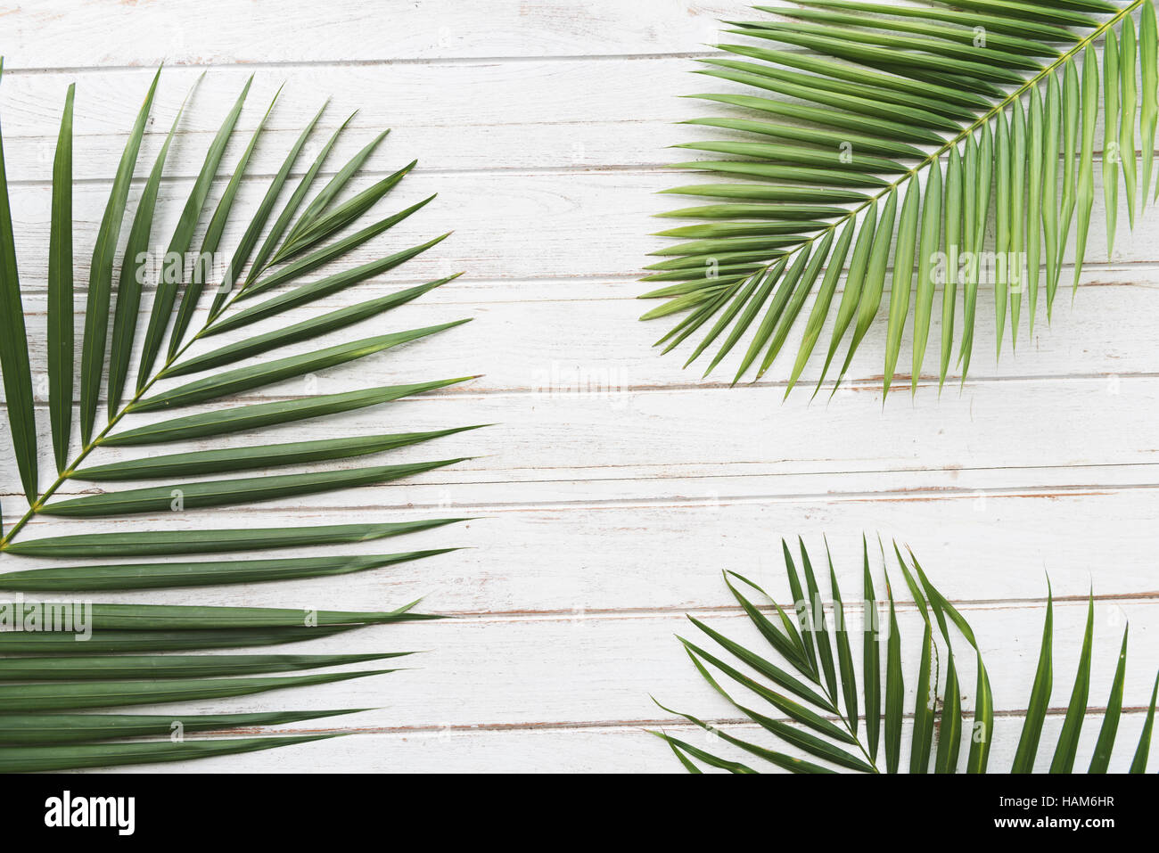 Leave Nature Wooden Plank Concept Stock Photo - Alamy