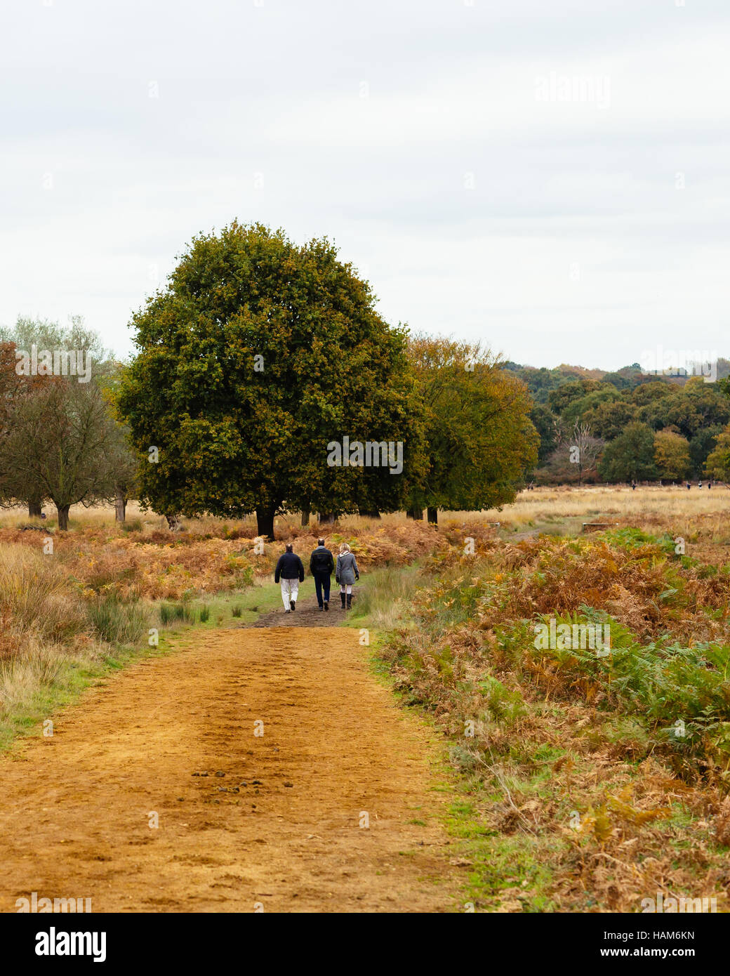Person going for a walk country park hi-res stock photography and ...