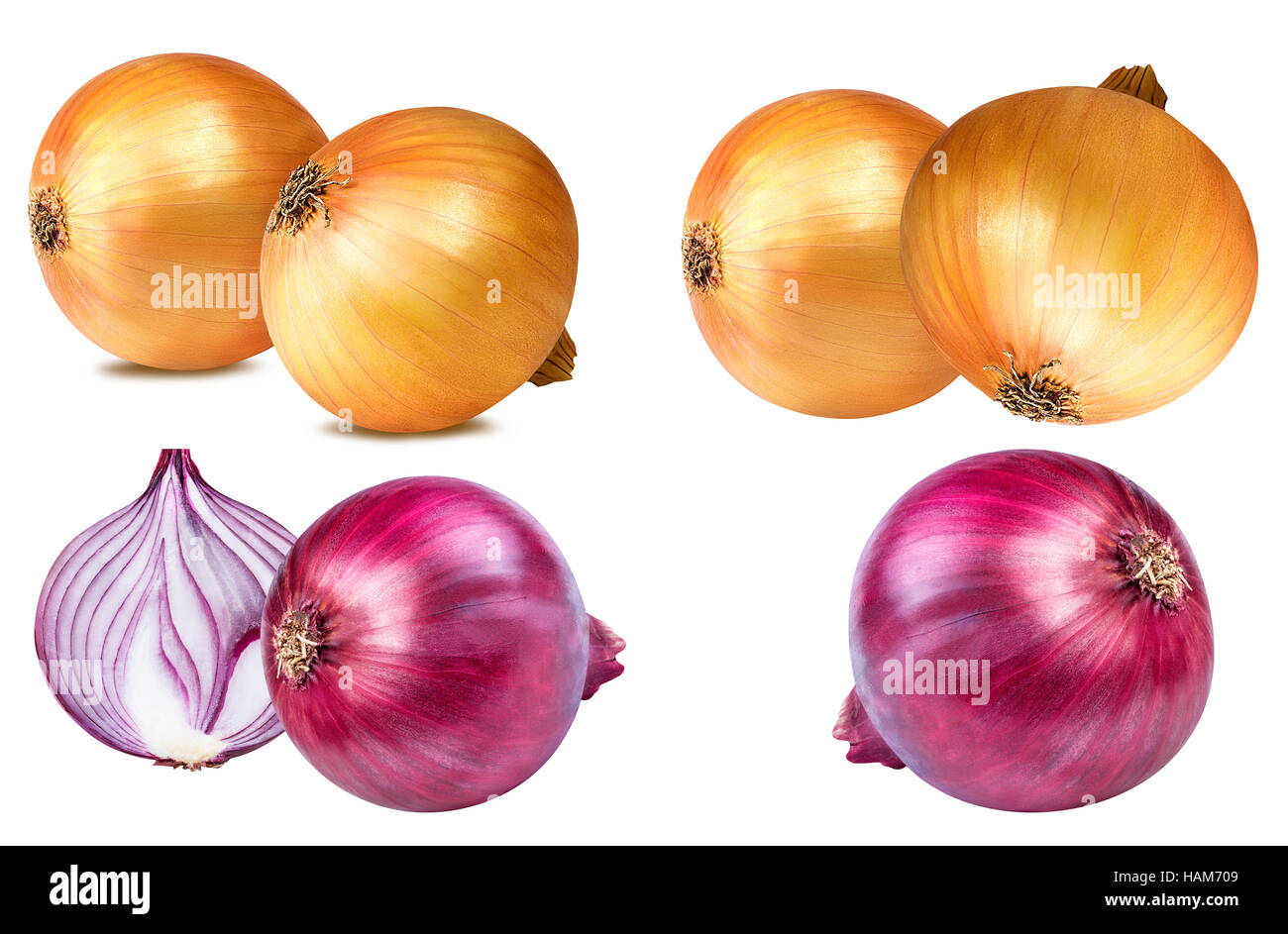 onion isolated on white background Stock Photo - Alamy