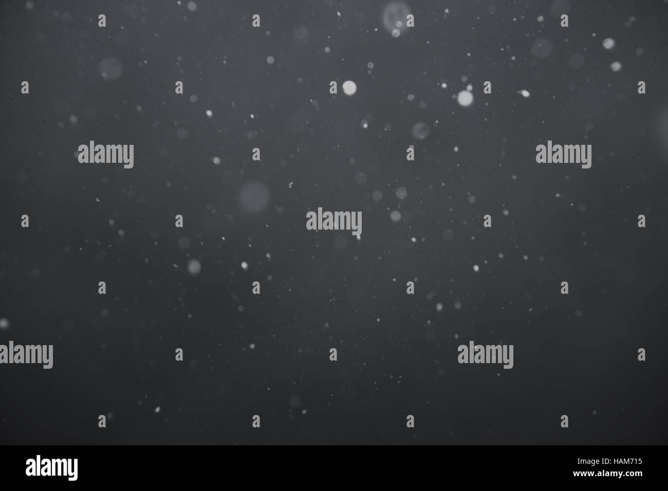 Falling snow on black background Stock Photo - Alamy