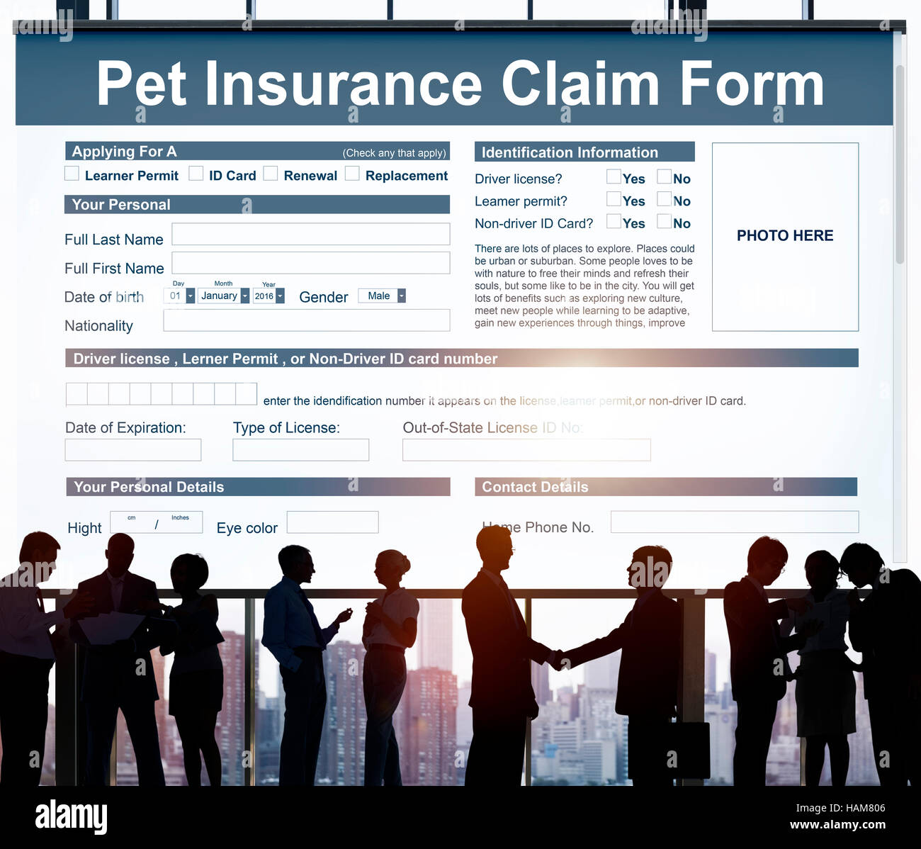 Pet Insurance Claim Form Protection Safety Health Concept Stock Photo ...