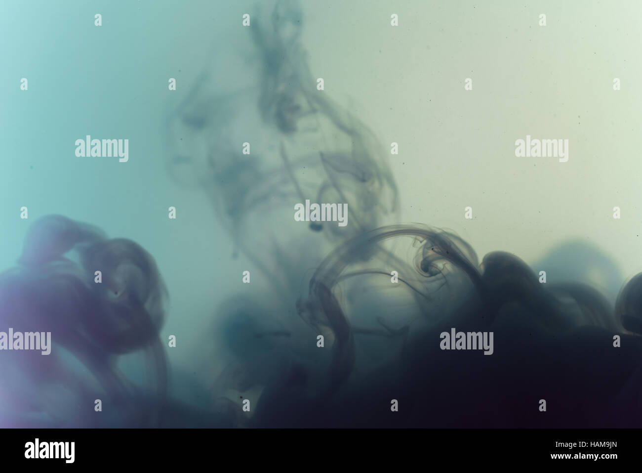 abstract dark blue acrylic paint poured in water Stock Photo - Alamy