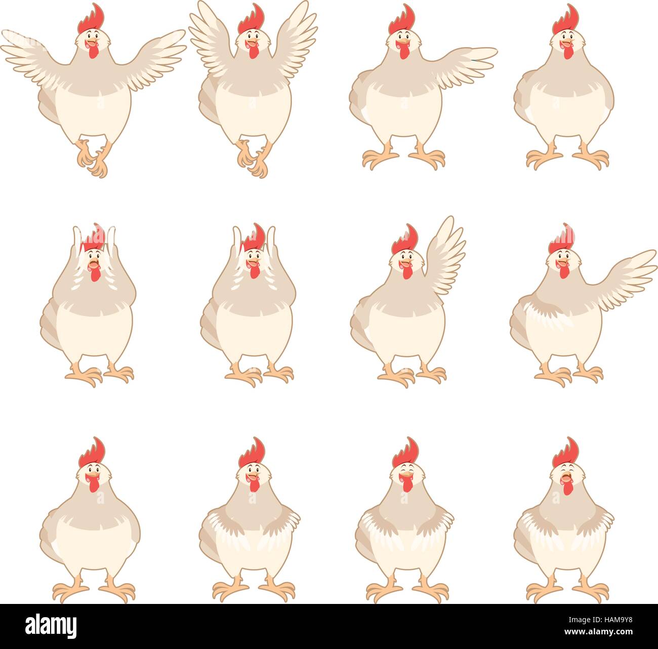 Vector image of the Chicken flat icon set Stock Vector Image & Art - Alamy