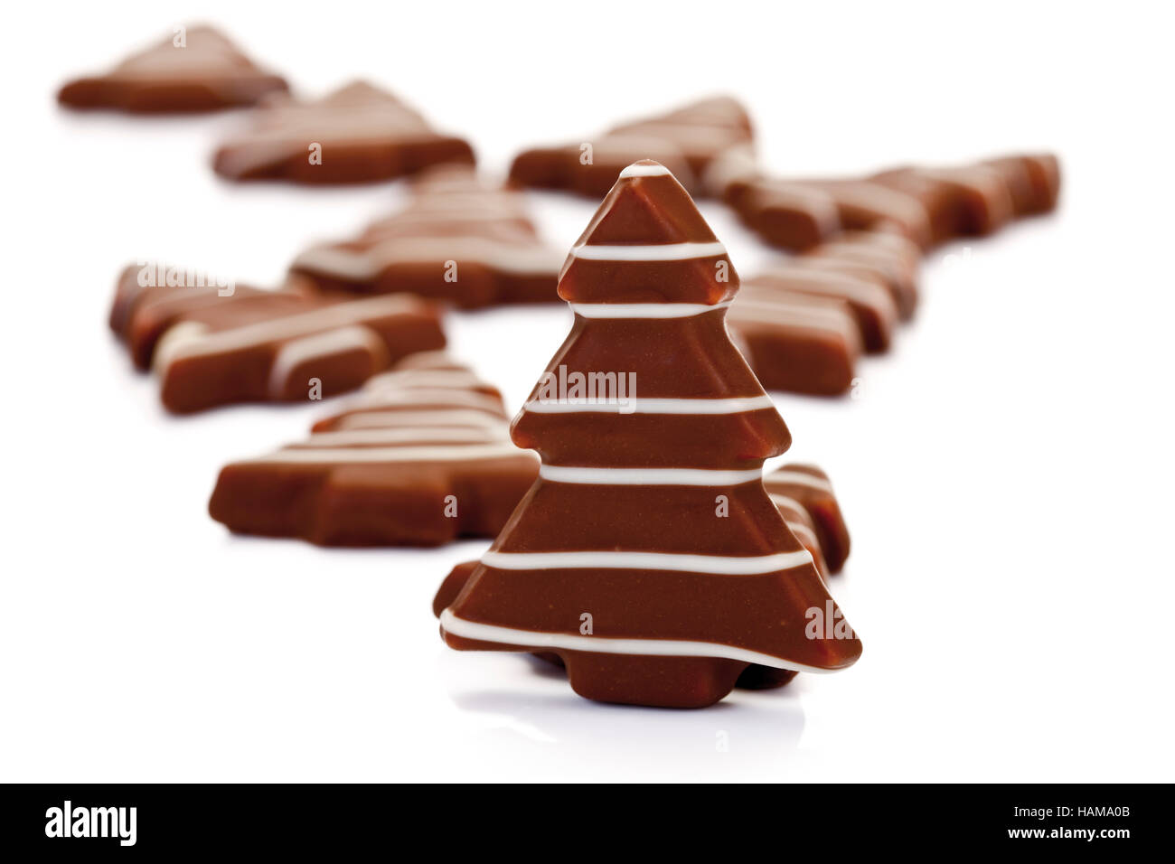 Indoor trees cutout hi-res stock photography and images - Alamy