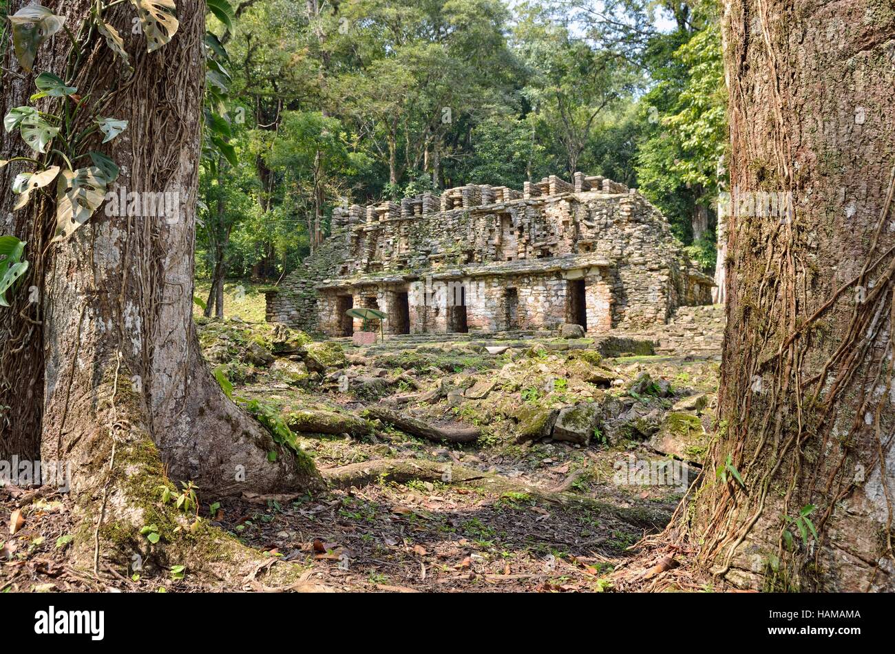 Labyrinth, Yaxchilan, ancient Mayan city, Usumacinta River, Mexico ...