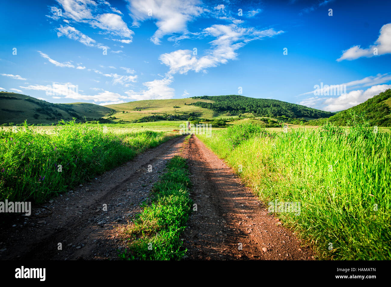 Day dream view hi-res stock photography and images - Alamy