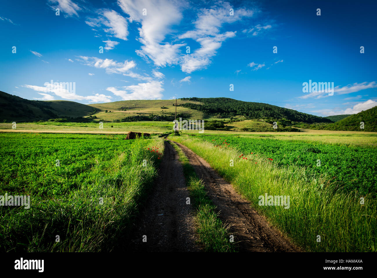 Day green field hi-res stock photography and images - Alamy