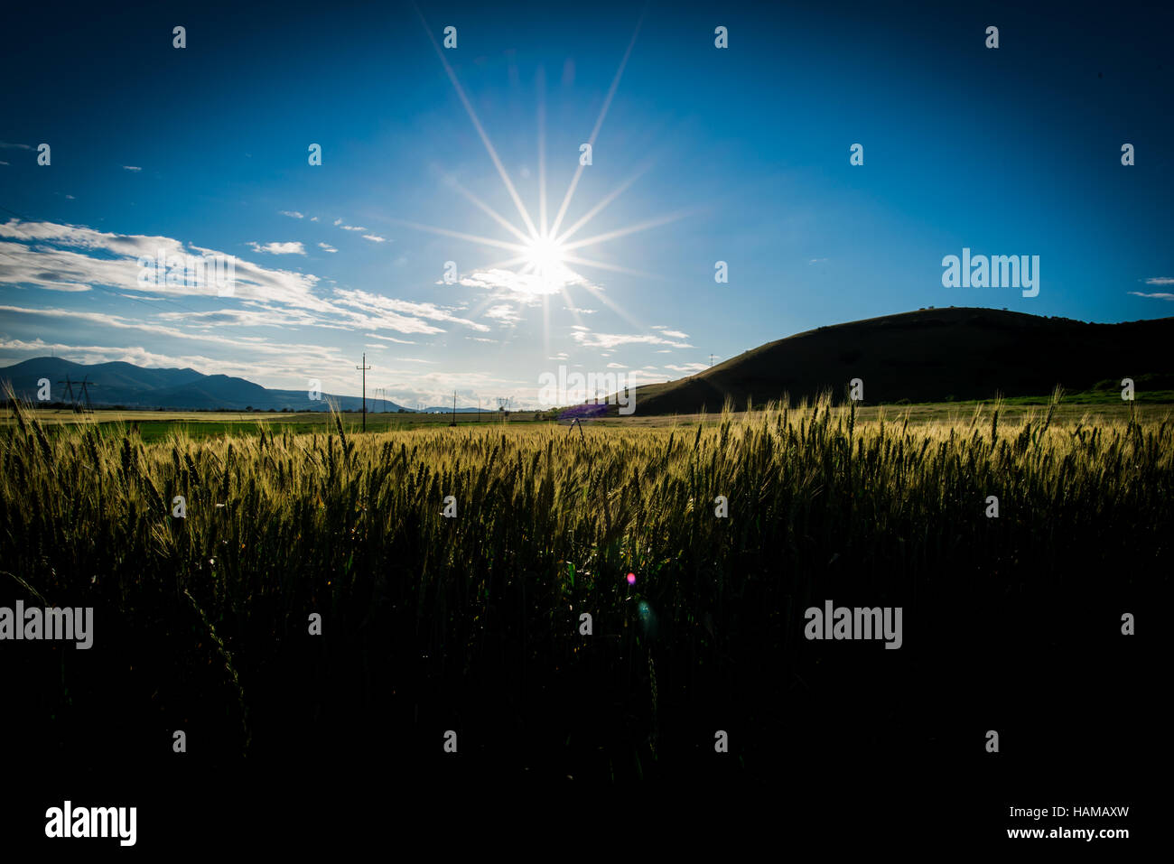 Amazing sunny hi-res stock photography and images - Alamy
