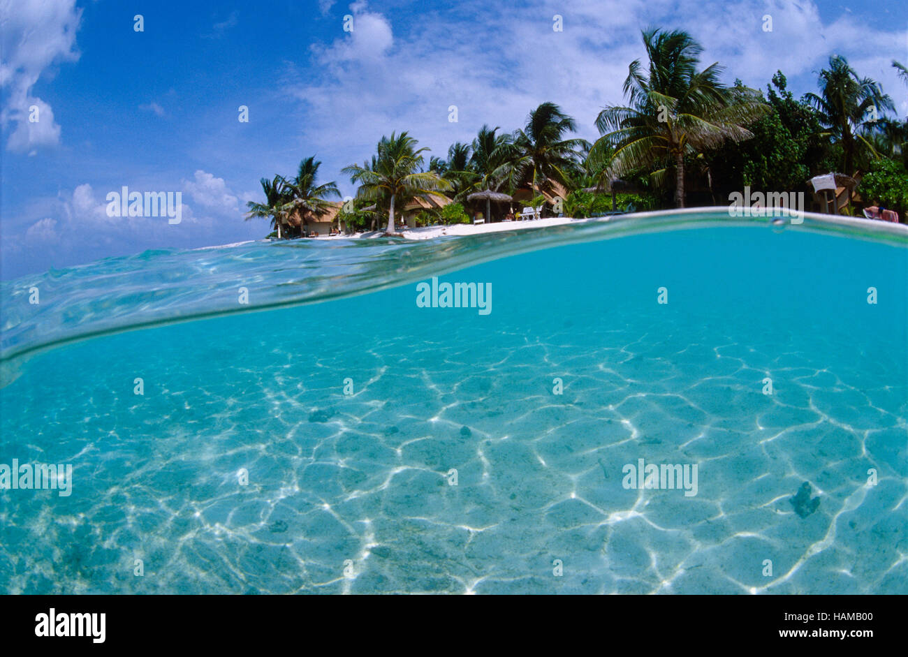 Half underwater half over water picture of an island, Summer Island ...