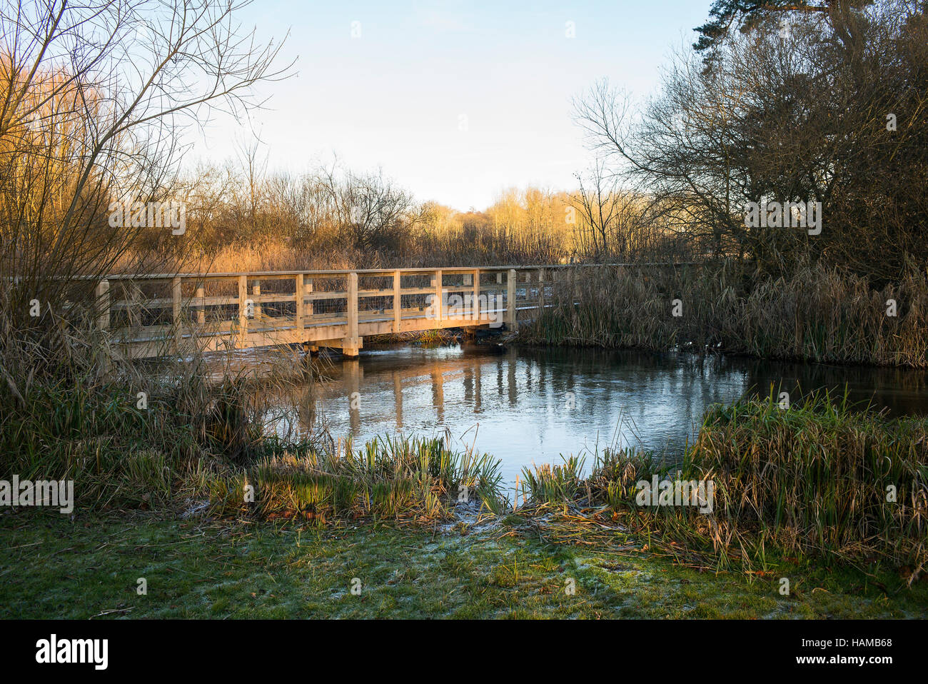 Footbridge across the River Test, Longparish, Hampshire, UK in late ...