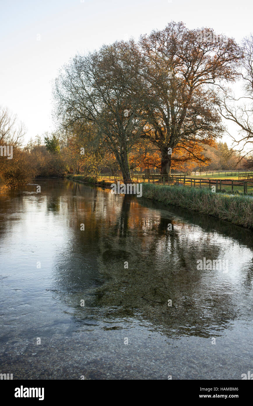 Longparish hi-res stock photography and images - Alamy