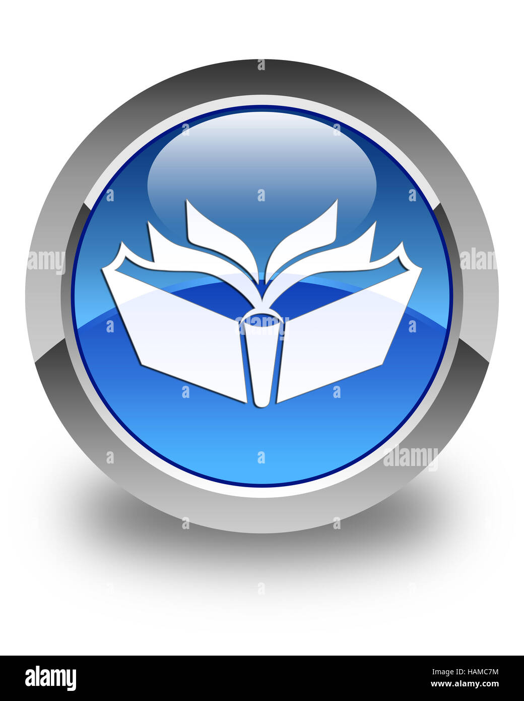 Translation icon isolated on glossy blue round button abstract ...