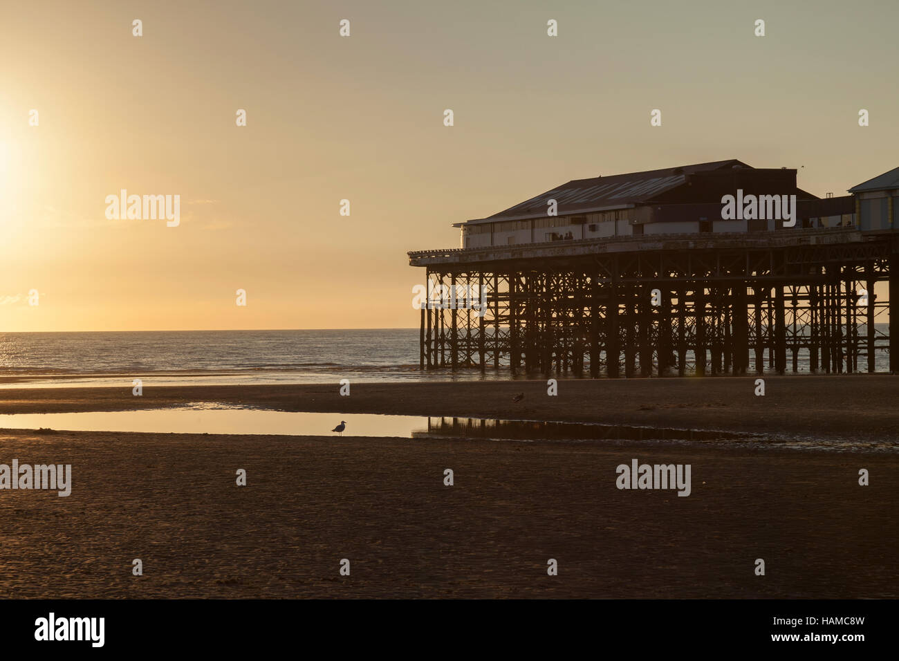 central pier blackpool Stock Photo - Alamy