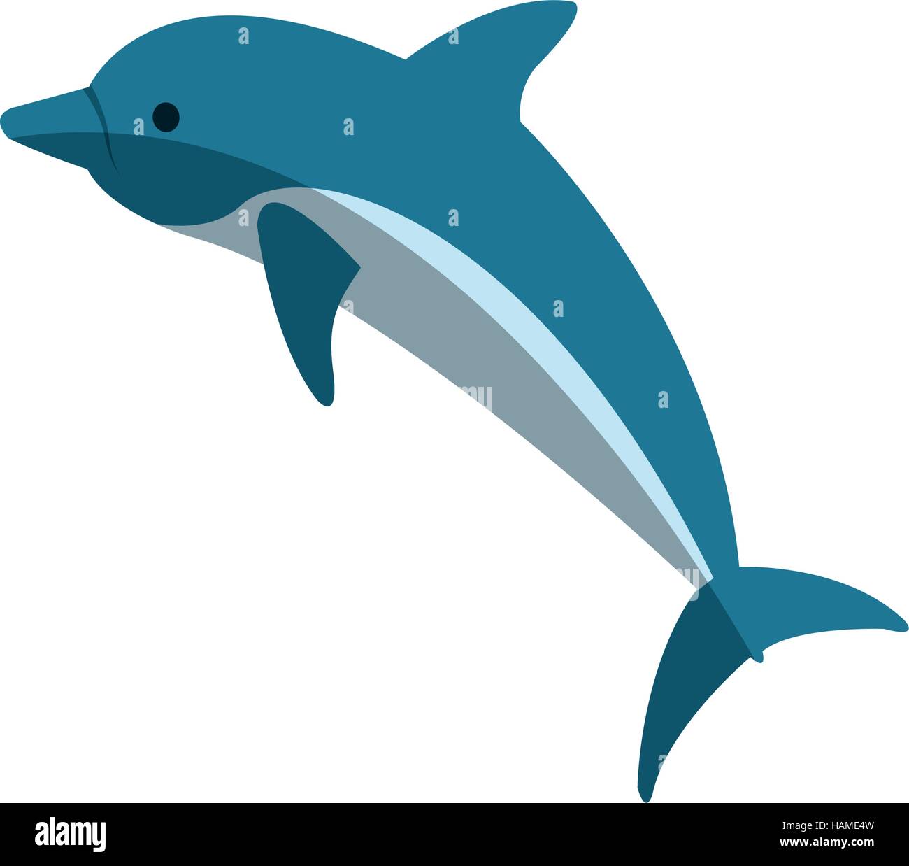 Isolated dolphin design Stock Vector Image & Art - Alamy