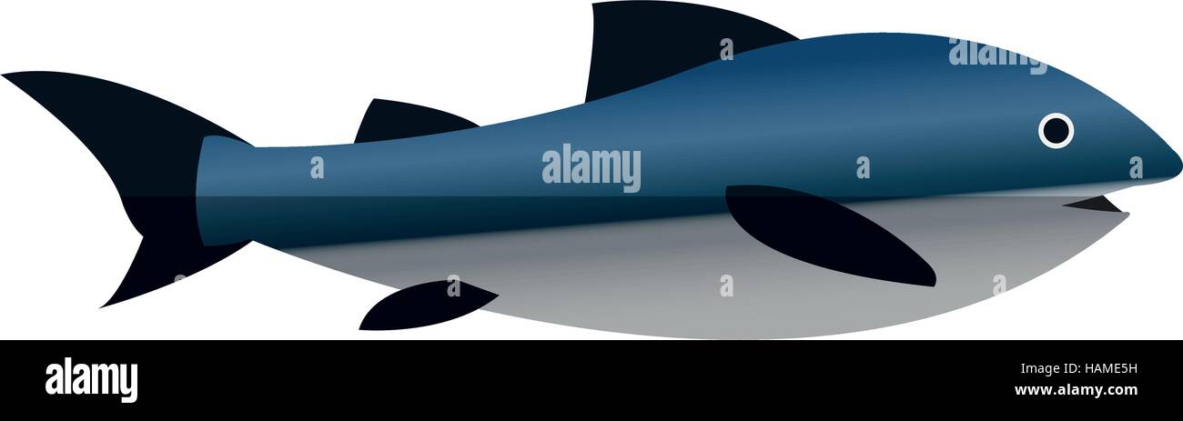 Isolated fish design Stock Vector Image & Art - Alamy