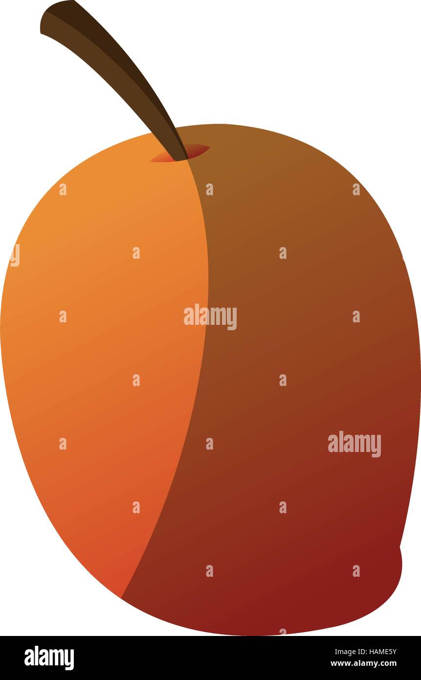 Isolated mango design Stock Vector Image & Art - Alamy