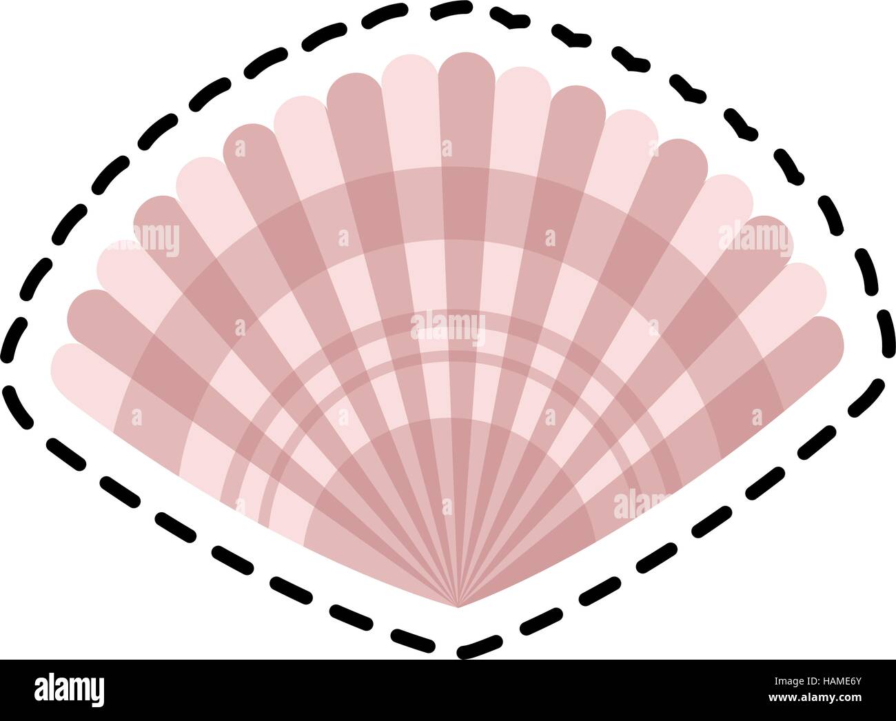 Isolated shell design Stock Vector Image & Art - Alamy