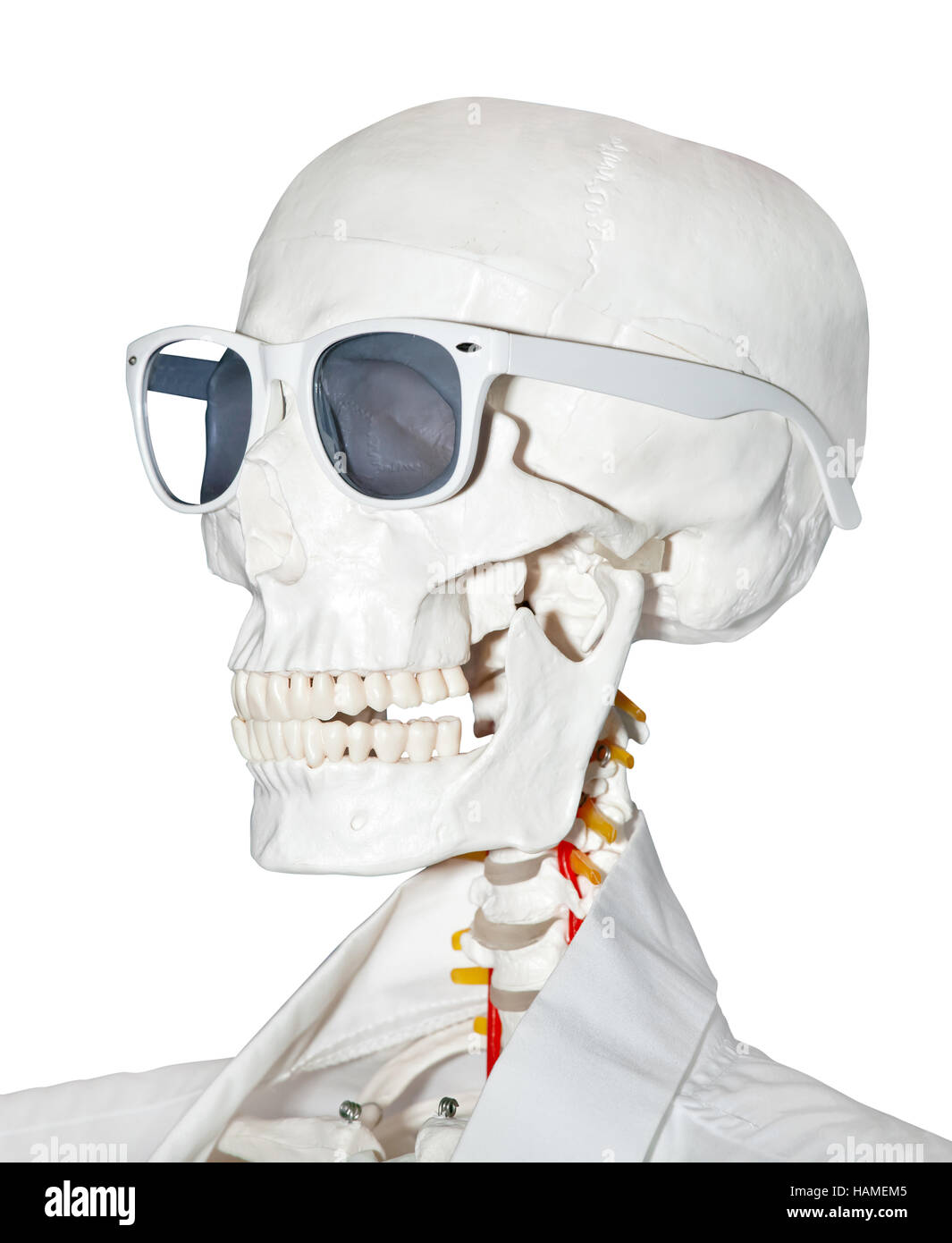 Standing human skeleton hi-res stock photography and images - Alamy