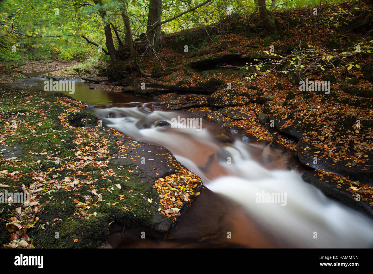 Gelt hi-res stock photography and images - Alamy