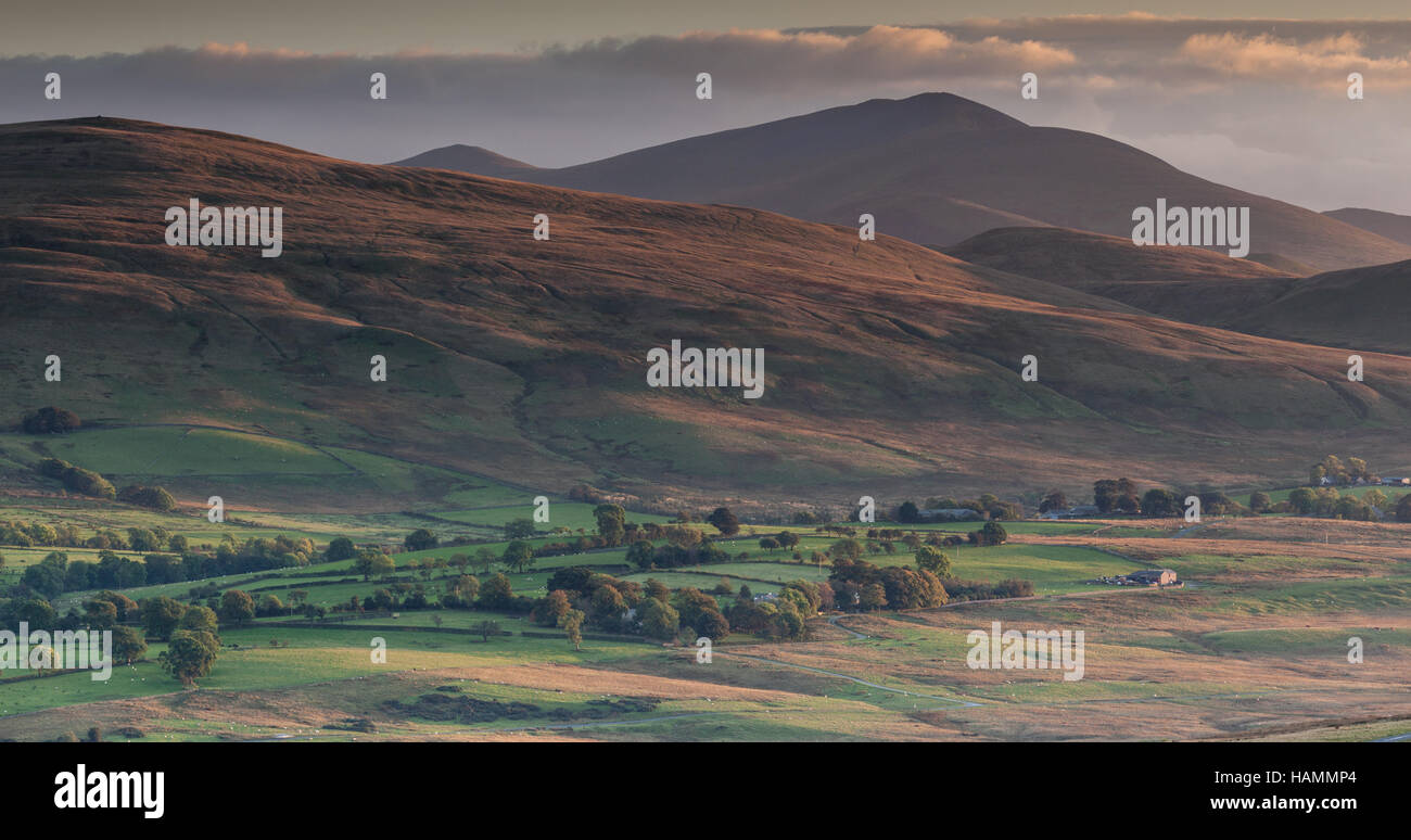 Evening light on Caldbeck Fell Stock Photo - Alamy