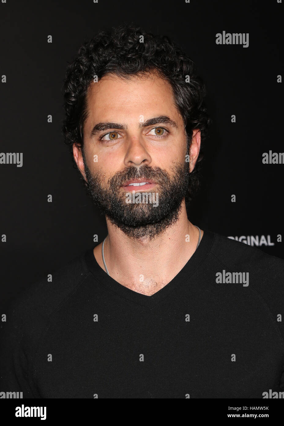 Hollywood, USA. 01st Dec, 2016. Adrian Bellani, At Premiere Of Hulu's ...