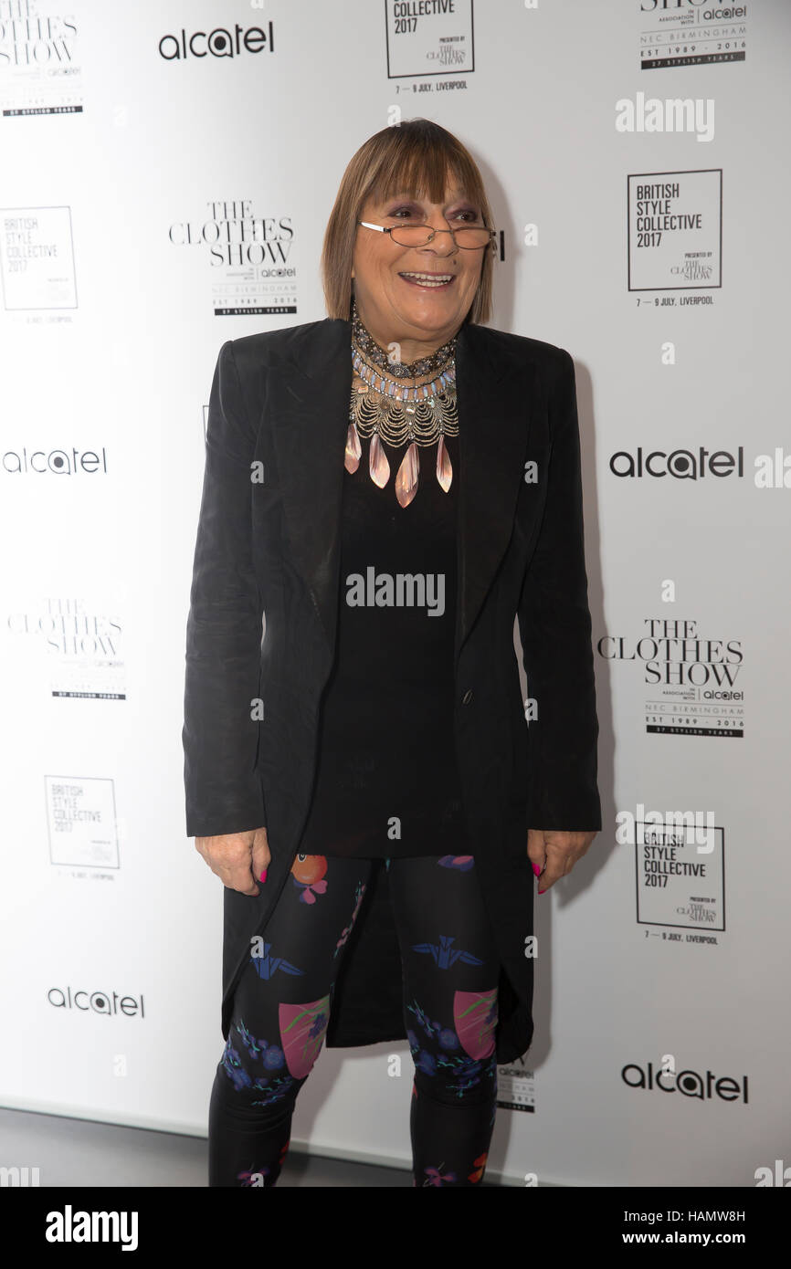 Birmingham, UK. 2nd Dec, 2016. Hilary Alexander, British Journalist ...