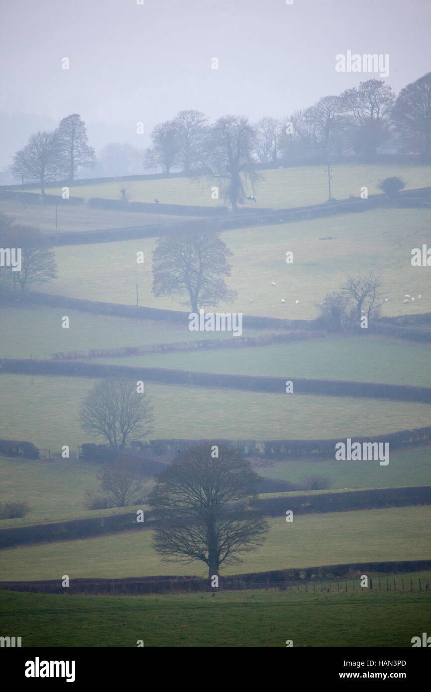 Cool misty conditions over rural farmland in the village of Rhes-y-Cae ...