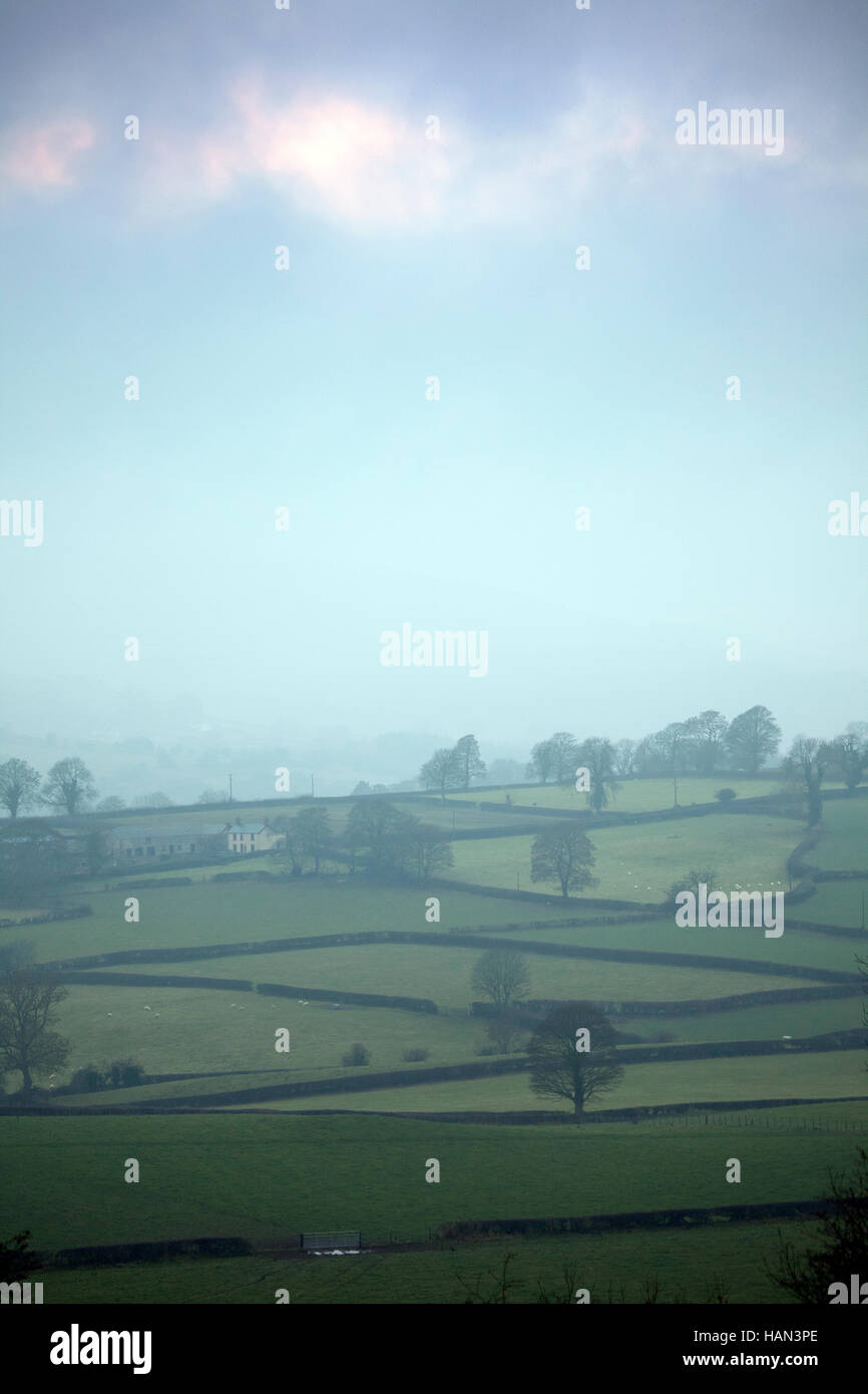 Cool misty conditions over rural farmland in the village of Rhes-y-Cae ...