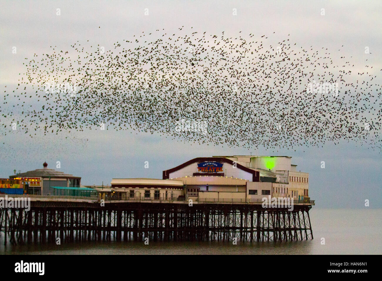 Blackpool, Lancashire, UK Weather. 3rd Dec, 2016. Sunset and Starlings ...