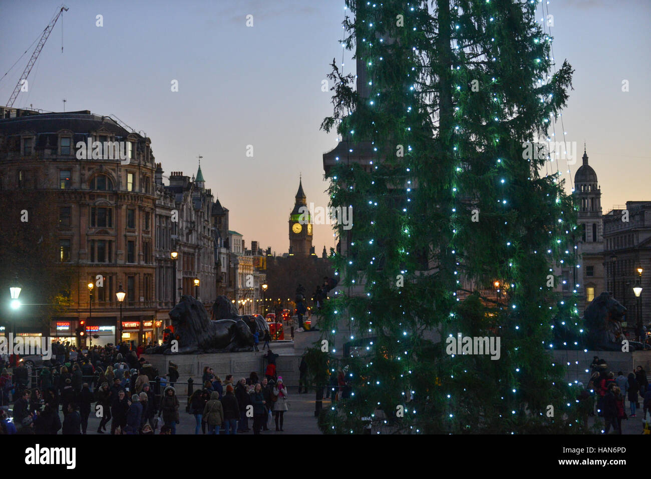 Trafalgar Square, London, UK. 3rd Dec, 2016. The traditional Trafalgar ...