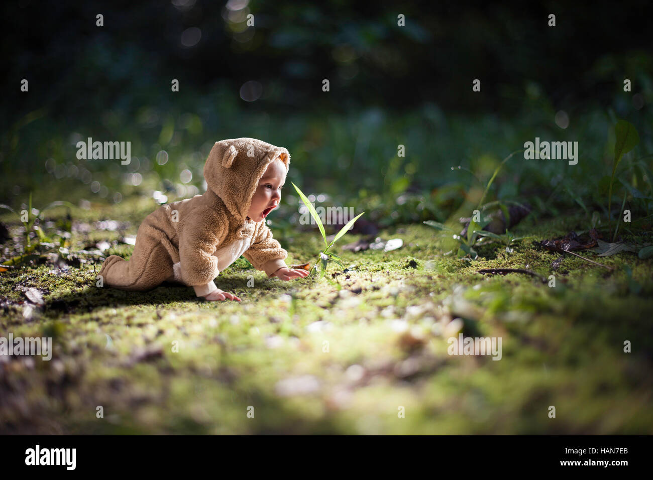 Young baby in a bear outfit crawling Stock Photo - Alamy