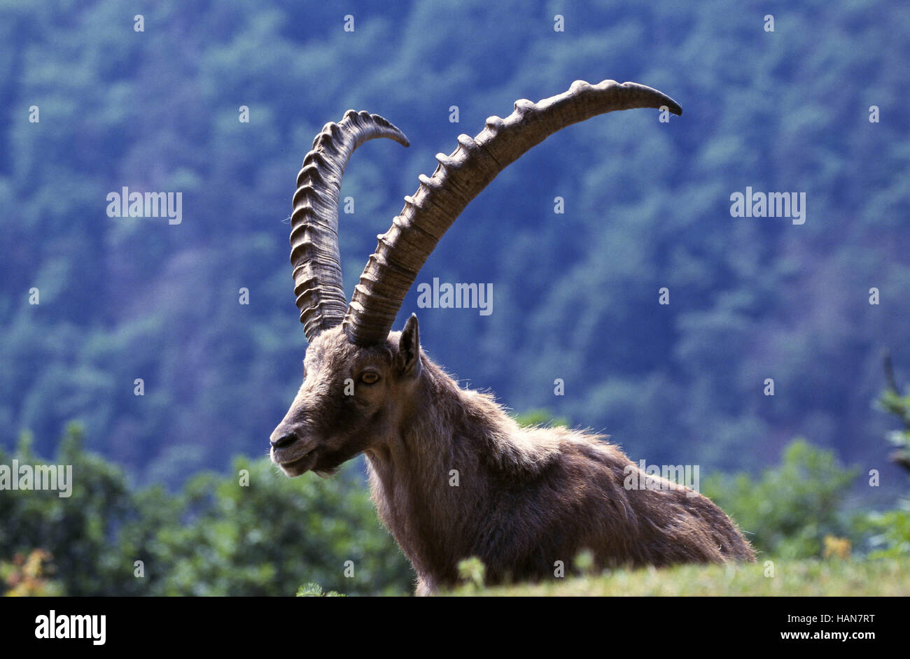 Europaeisches r hi-res stock photography and images - Alamy