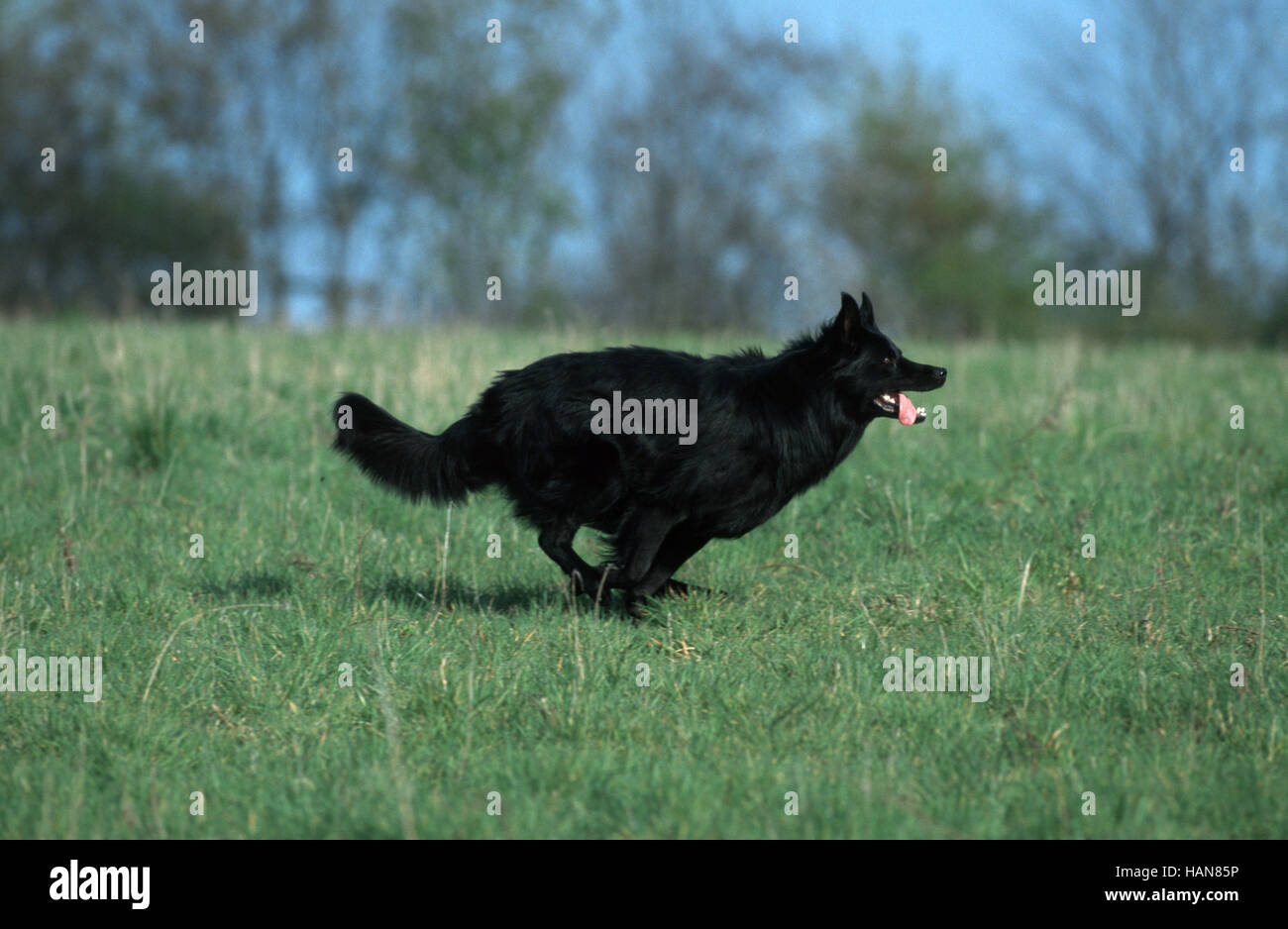 Altdeutscher High Resolution Stock Photography and Images - Alamy