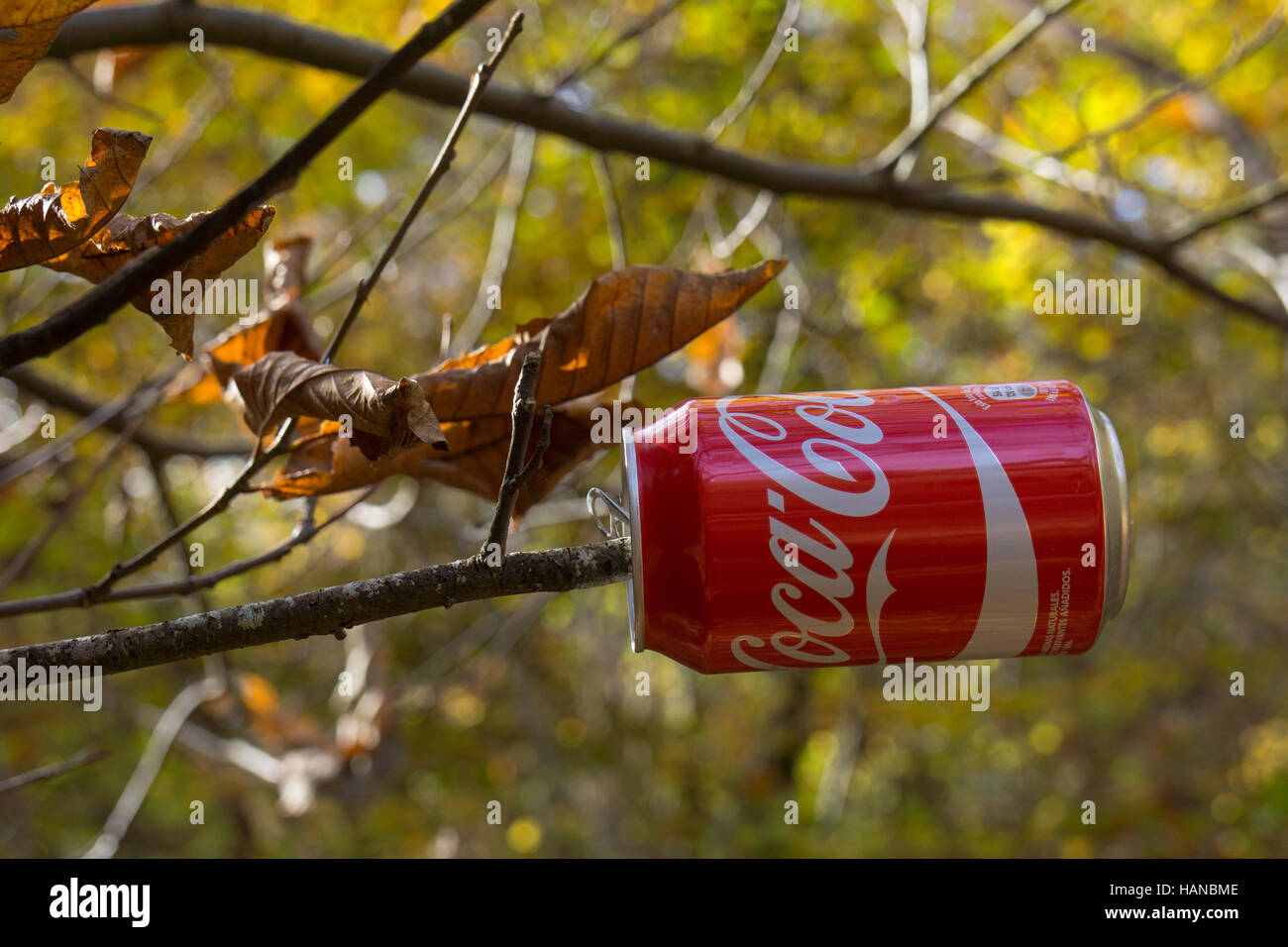 Coke can on tree branch hi-res stock photography and images - Alamy